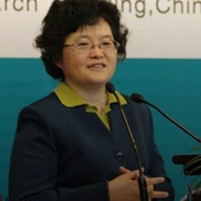 Chenghui Zhang - CCICED