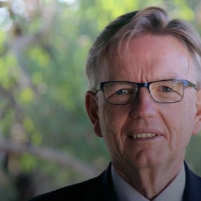 Special Advisors Archives - CCICED