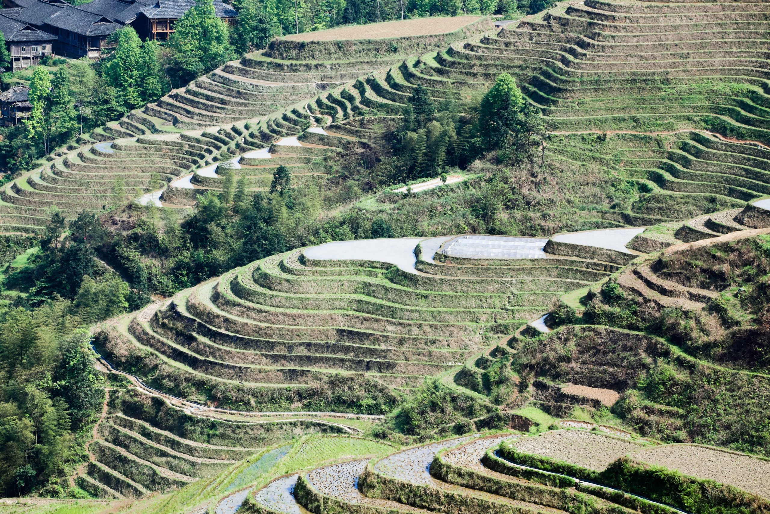 Ecological Civilization: A new development paradigm - CCICED