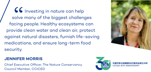 Interview with Jennifer Morris: Seeking pragmatic solutions in the face ...