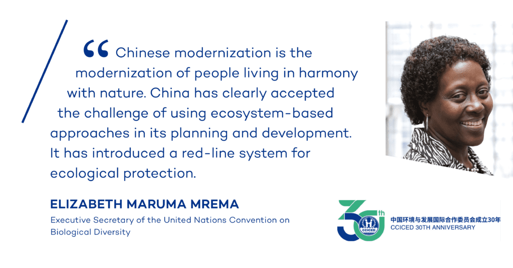 Interview with Elizabeth Maruma Mrema: China is turning “living in ...